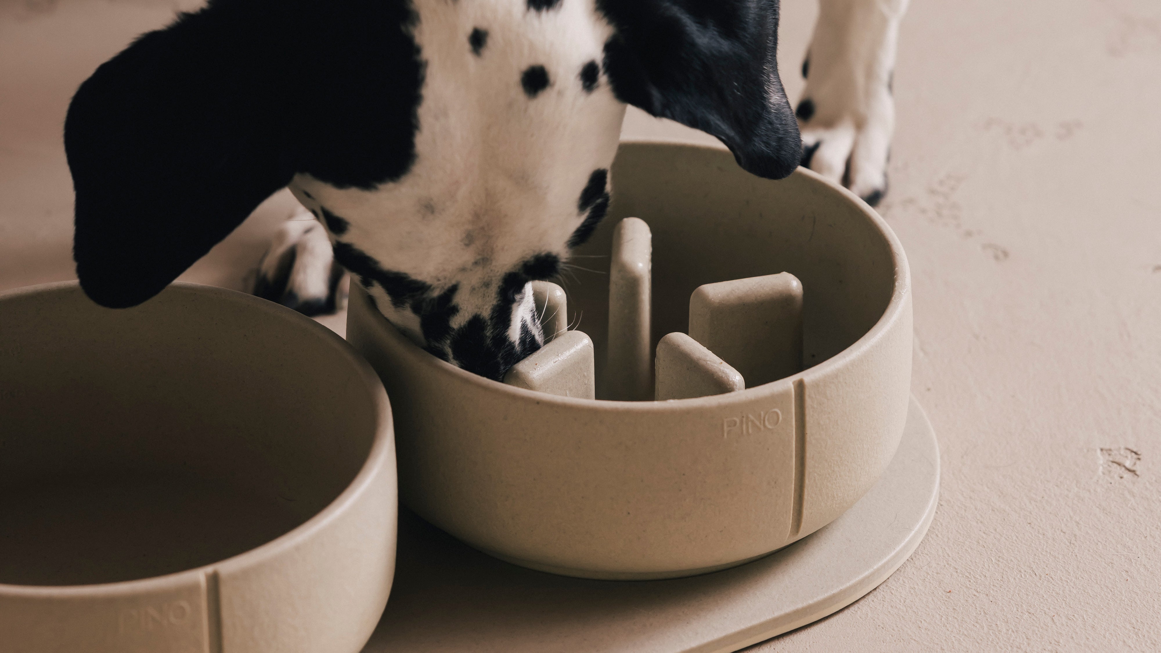 Does Your Dog Inhale Their Food? The Dangers of ‘Scarf and Barf’ – PINO