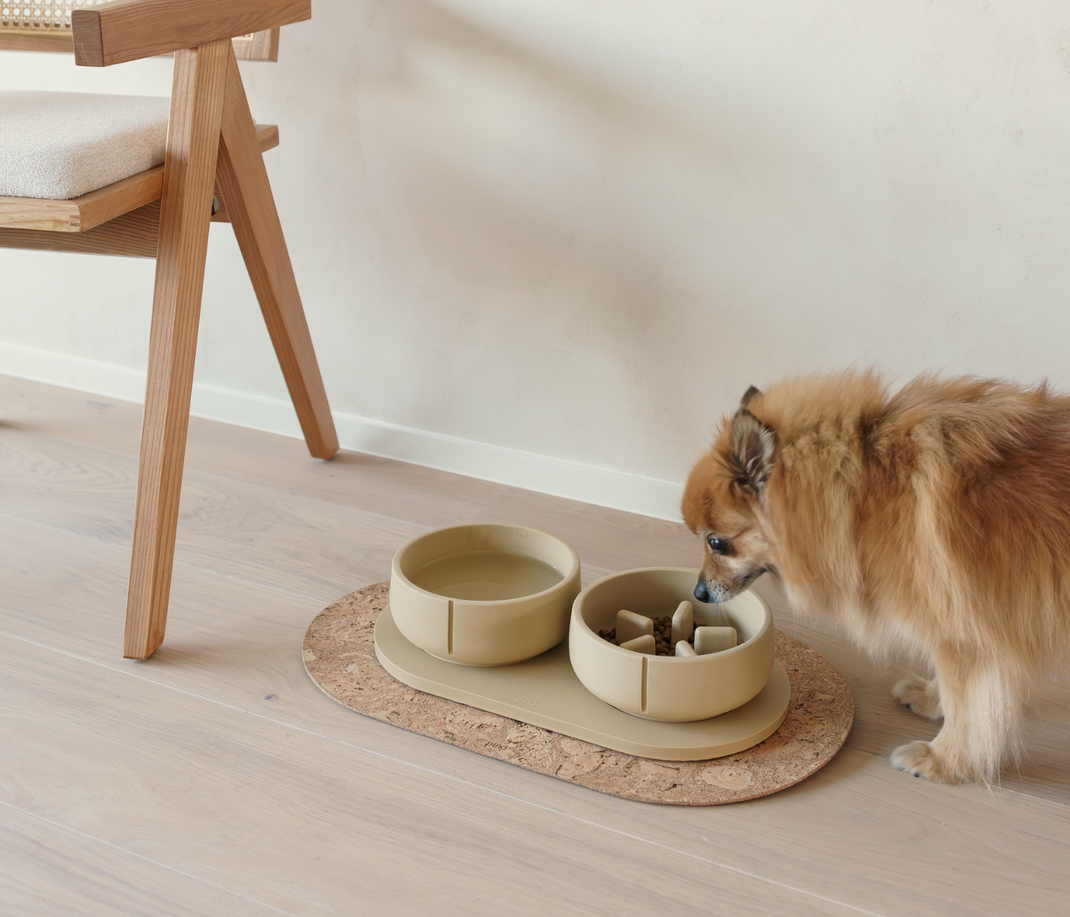 Bowls helping pets eat healthier – Pino