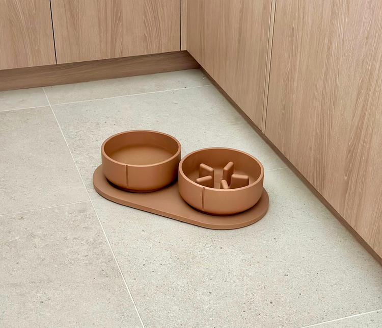 Bowls helping pets eat healthier – Pino