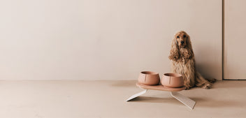 PINO | Pet Bowls Tailored To Their Comfort | For Dogs & Cats