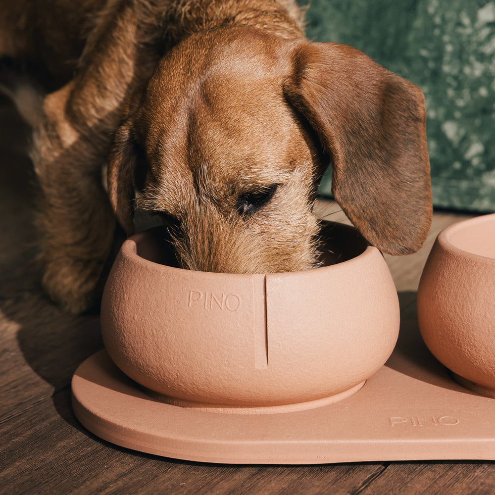 PINO | Pet Bowls Tailored To Their Comfort | For Dogs & Cats