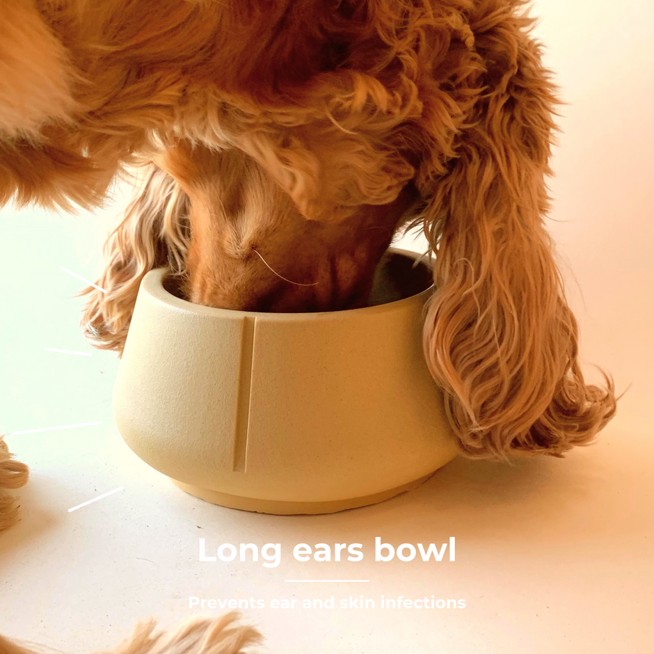 Bowls helping pets eat healthier – Pino